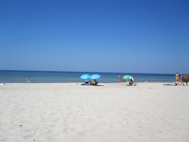 Destination Lithuania: The Curonian spit in one day