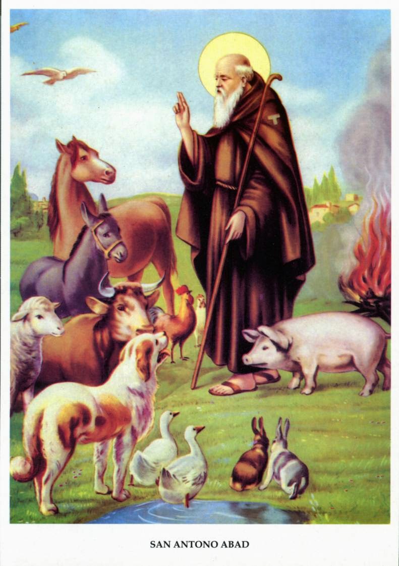 disseccionari: Hagiografia