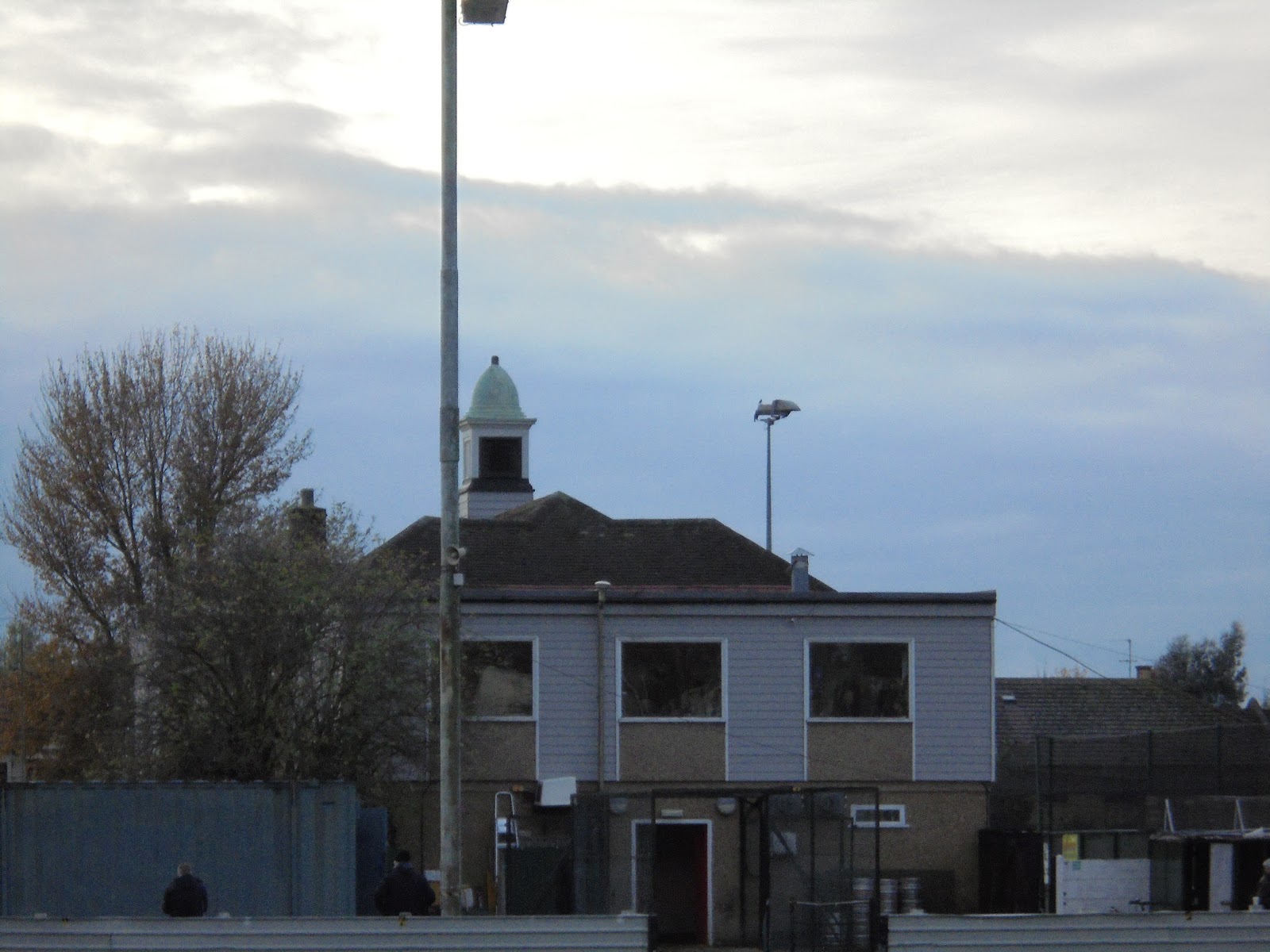 The Tortoise Travels: Walthamstow - Wadham Lodge Sports Ground