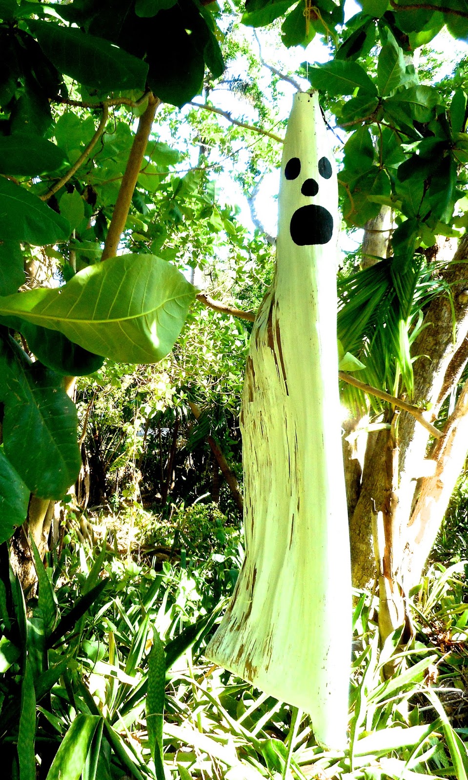 The Grove Guy: WE HAVE GHOSTS IN OUR PALM TREES