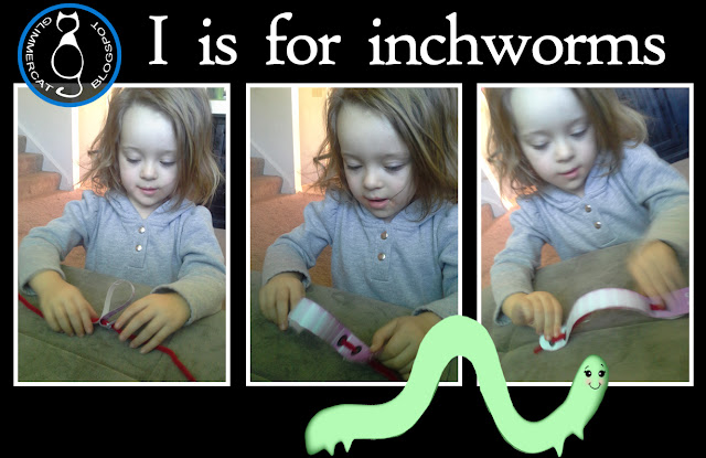 Glimmercat Education: I is for Inchworms