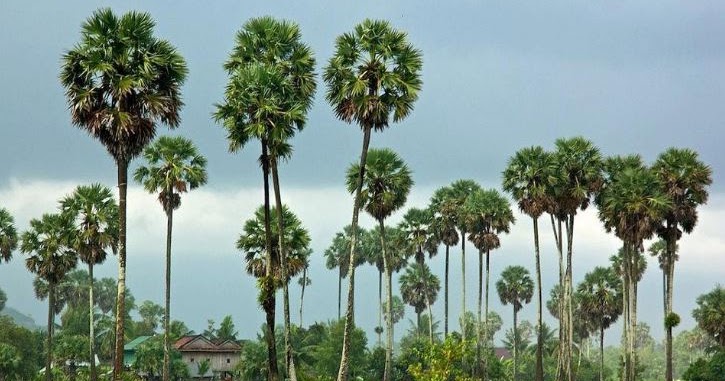 Kampong Speu ~ Travel Tips
