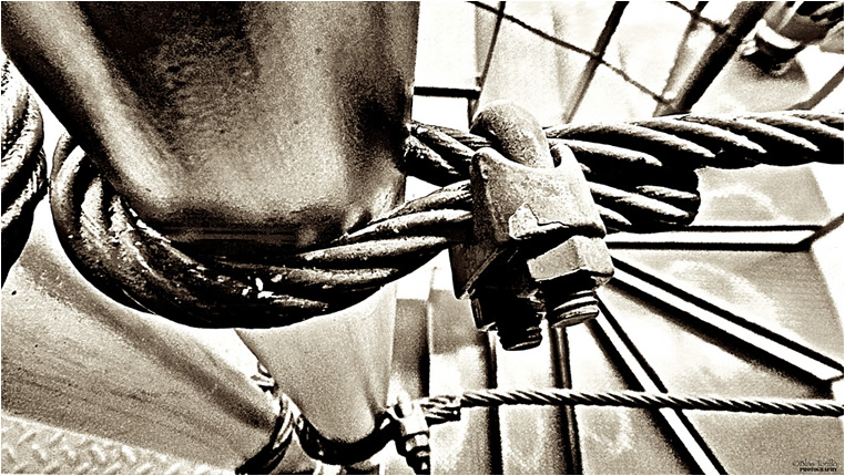 The Best Photos of the Day: June 17, 2013