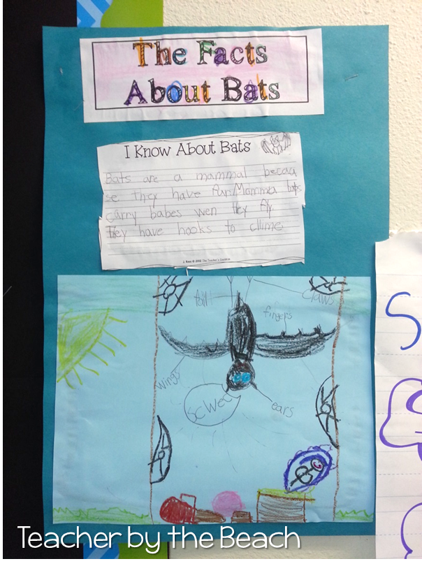 Bat Week: Reading, Writing, and Poetry - freebies included! | The ...