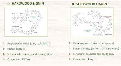 How about Lignin?: Lignin linkages