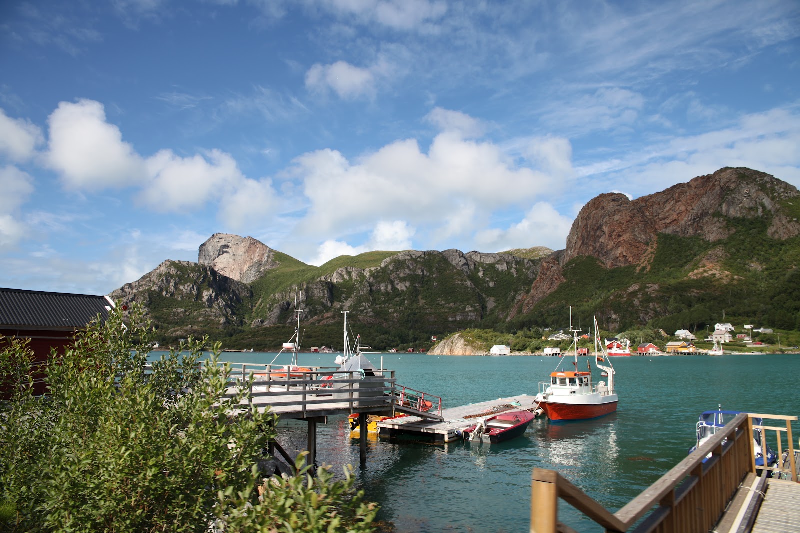 Svalbardliv: Rause Rødøy