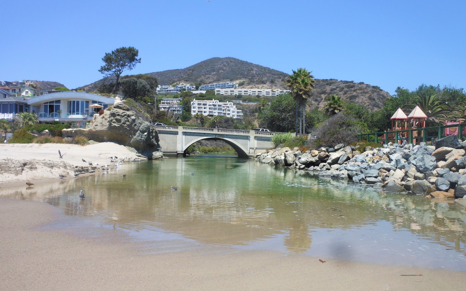 1000 Hikes in 1000 Days: Day 642: Aliso Beach (North) - Laguna Beach