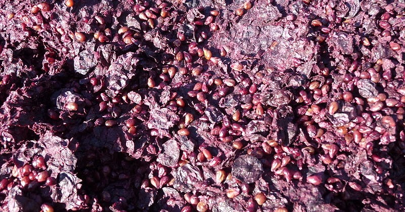 Allance Fertilizer Machinery: Market Potential and Grape Pomace Composting