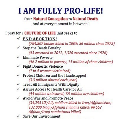 A View From The Window: Pro-Life. What Does it Mean?