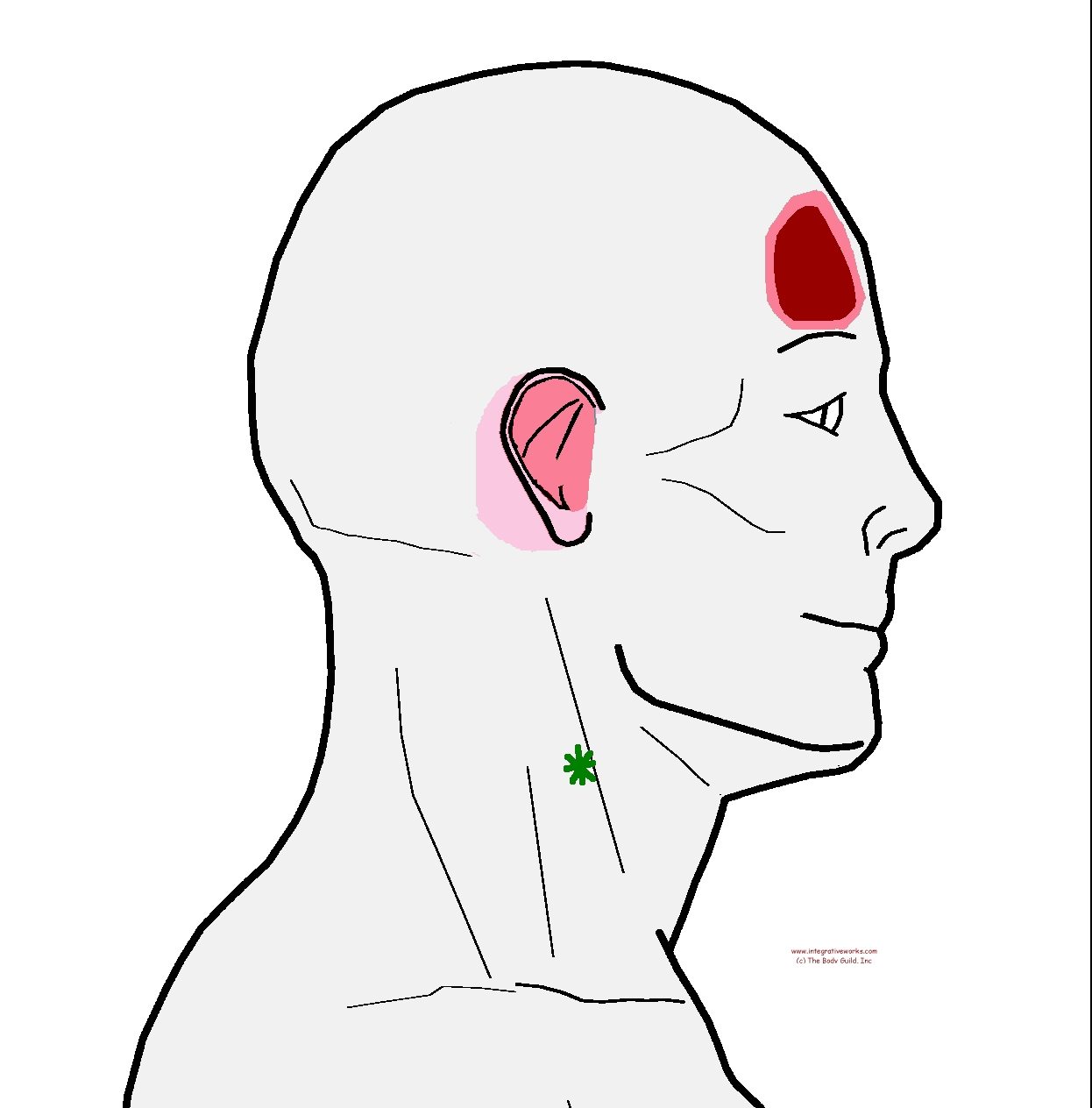 Physiotherapy: Myofascial Release