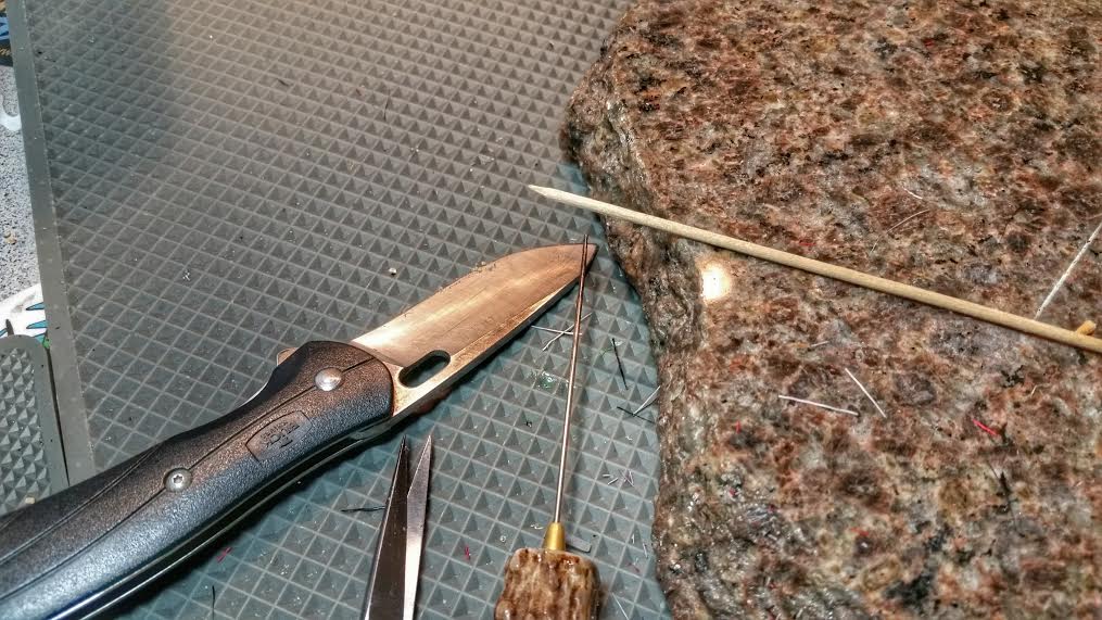 Panther Branch Bugs - The Bloody Fanged Bat