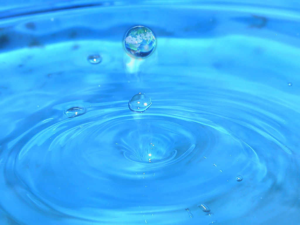 Los Ecológicos: EL AGUA