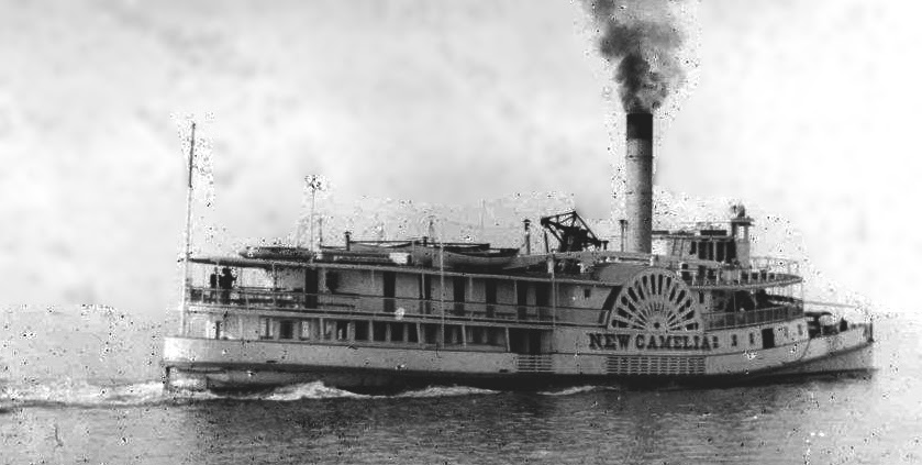 Tammany Family: The Steamer Camelia