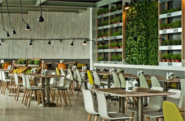 Flor Calli: Restaurante con un ambiente ecológico