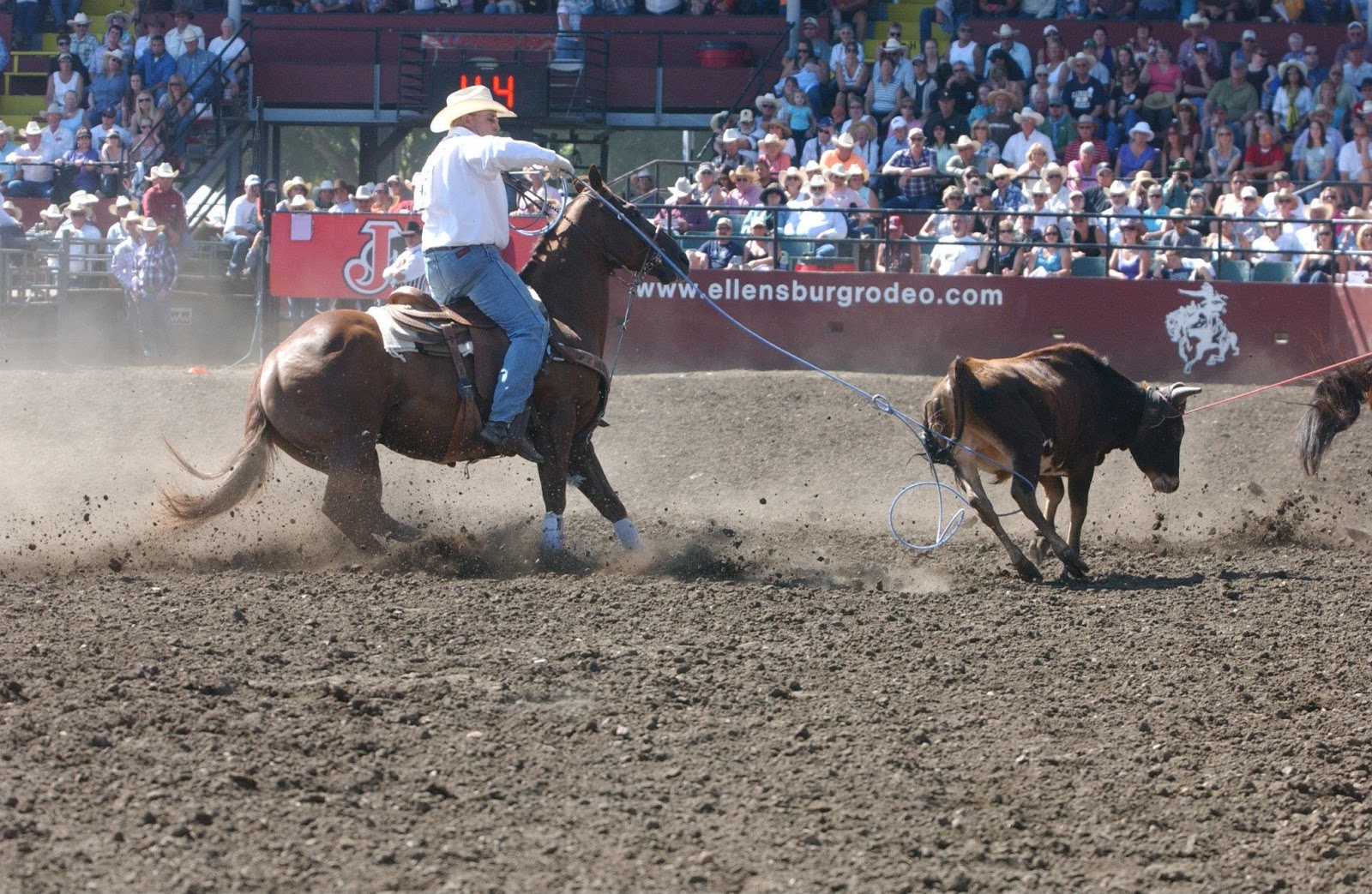 The Roping Blog: Jake Barnes & Walt Woodard
