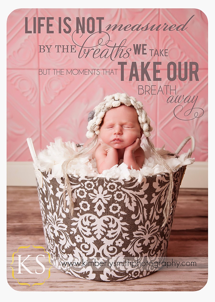 Kimberly Smith Photography