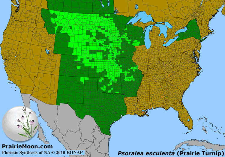 The History Scroll: What did Lewis and Clark mean by "white apples?"