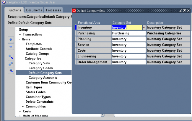 Oracle Inventory Flexfields Implementation « Learn Oracle