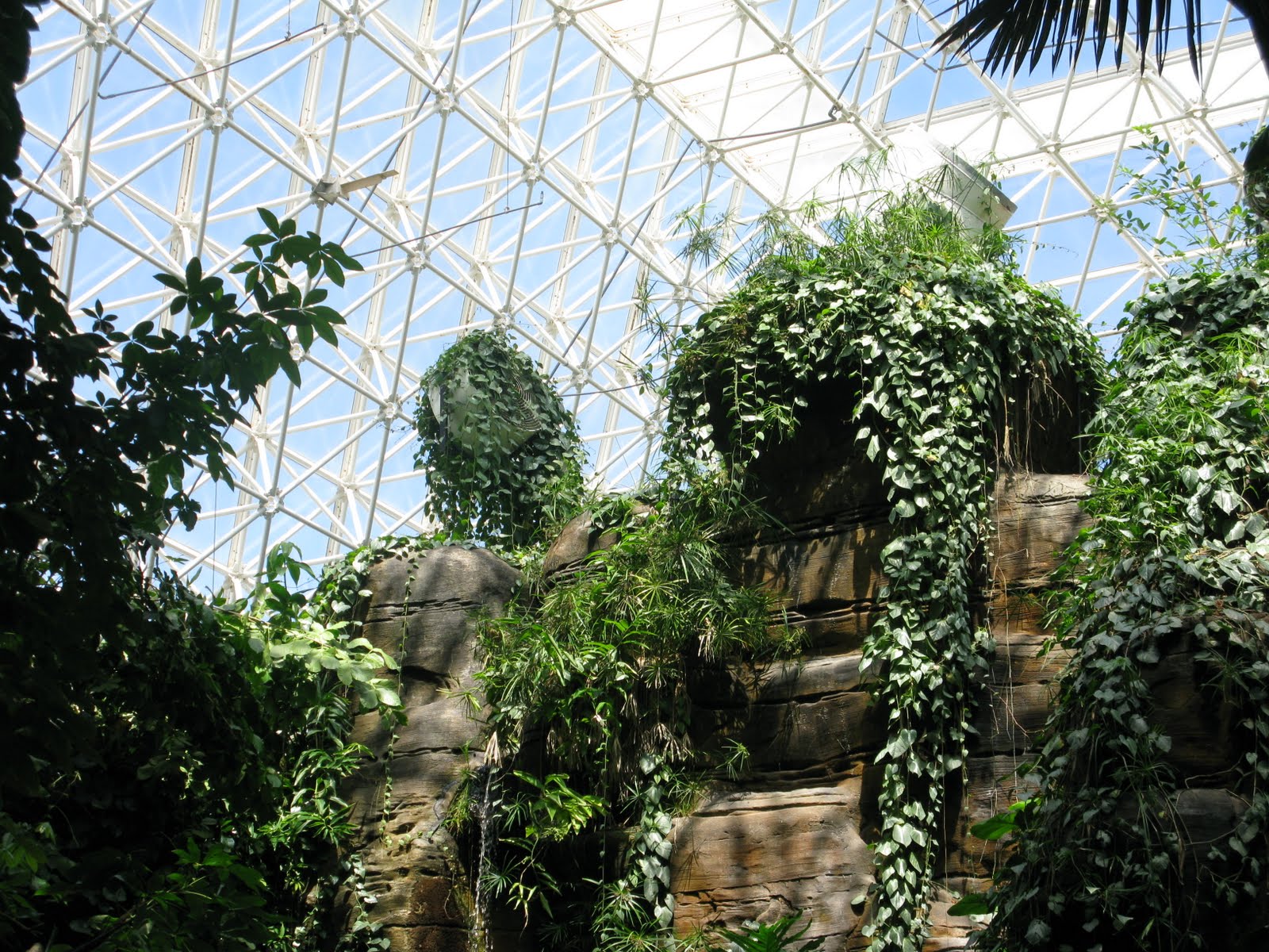 C2C: Biosphere 2 Arizona