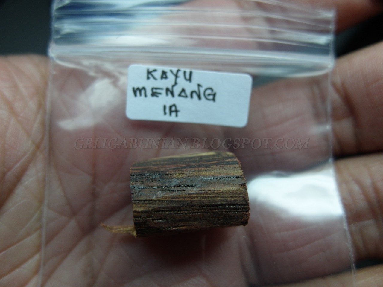 BLOG UTAMA Y.M PADUKA AYAHANDA PAY 8: KAYU MENANG