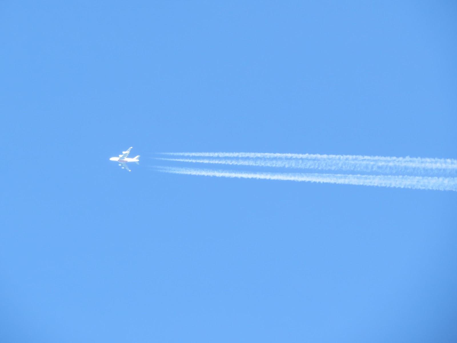The Cranbrook Guardian: Out and About at Jim Smith Lake