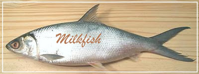 3 Health Benefits of Milkfish in More Details | Indonesia Milkfish ...