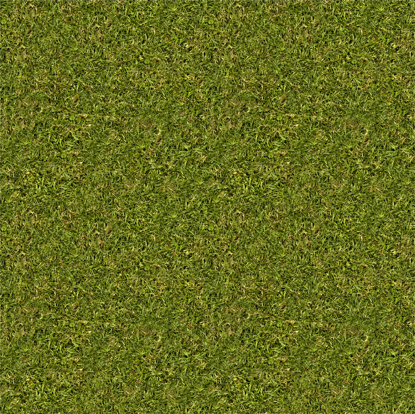Grass Texture Map