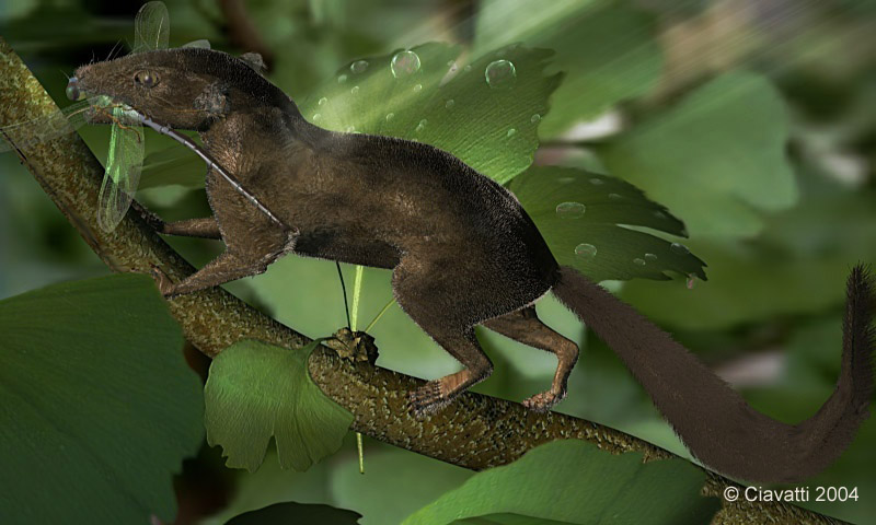 Era uma vez um Dinossáurio: Nova informação sobre Henkelotherium ...