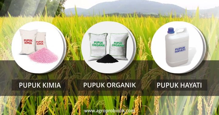 Terbaru 38+ Contoh Label Pupuk Kompos