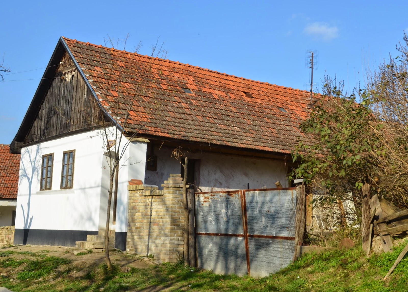 Utak, kalandok: Bajsa, a tolerancia, a Vojnitsok