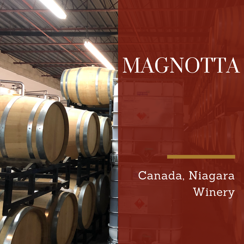 캐나다 나이아가라 와이너리, 아이스와인 추천: MAGNOTTA