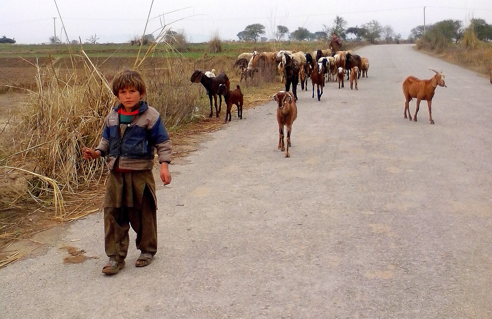 Scenes Of Kashmir: How does every day life in Pakistan look like?