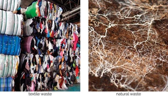 Últimas Tendencias: MycoTEX es un material 100% biodegradable hecho de ...