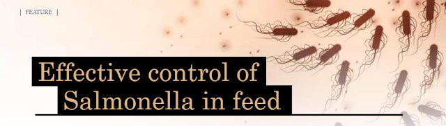The Aquaculturists: Effective control of Salmonella in feed