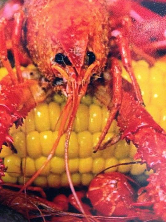 Experience Ruston: It's crawfish time!