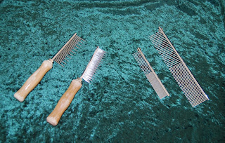 Chinchilla Silver Persians : BEST PERSIAN COMBS Chinchilla Silver Grooming