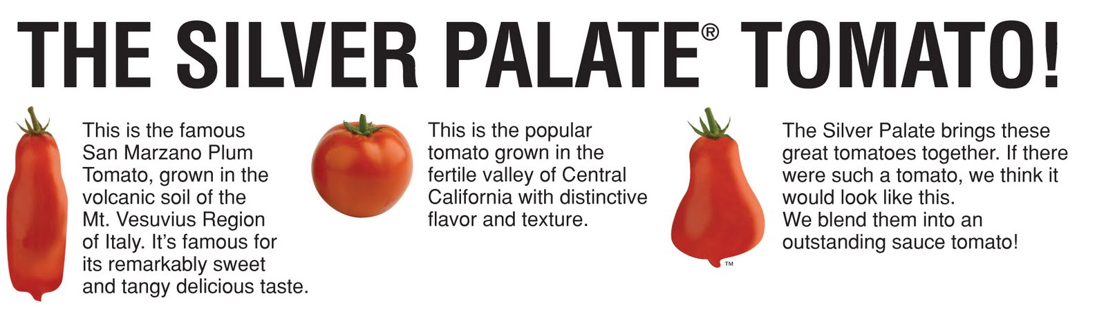 The Silver Palate™: 2011