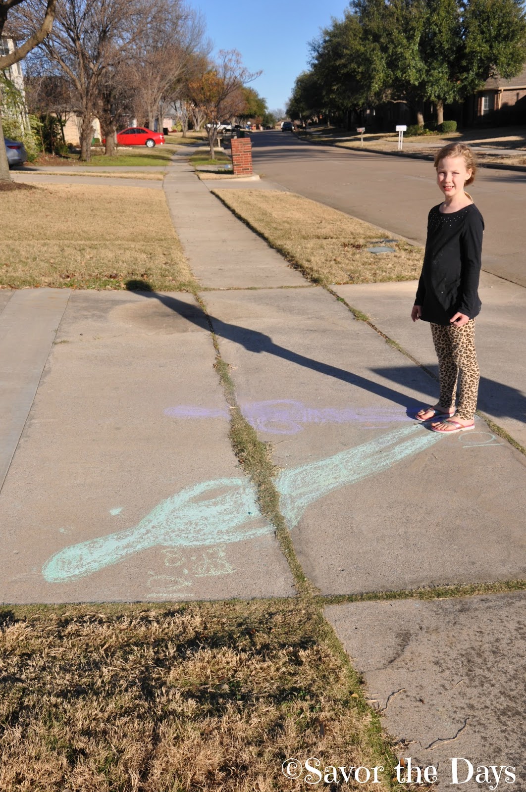 Savor The Days: Studying Shadows on Groundhog Day