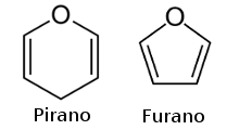 BIOQUÍMICA DE LOS ALIMENTOS: HIDRATOS DE CARBONO