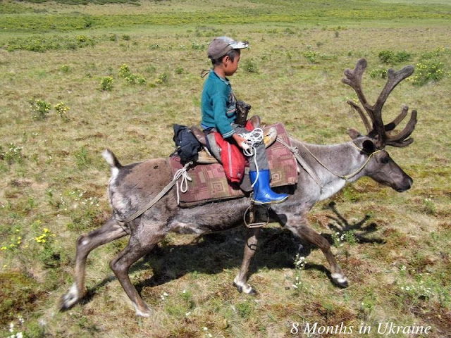 8 Months In Ukraine: Life among the reindeer herders