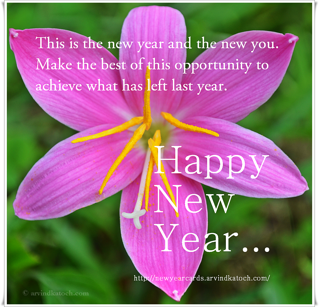 HD True Pic New Year Cards 2023: Make the best of this opportunity to ...