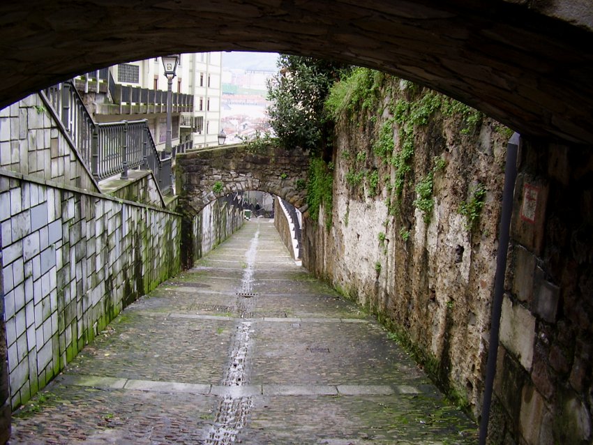 FOTOGRAFIAS: Calzadas de Mallona