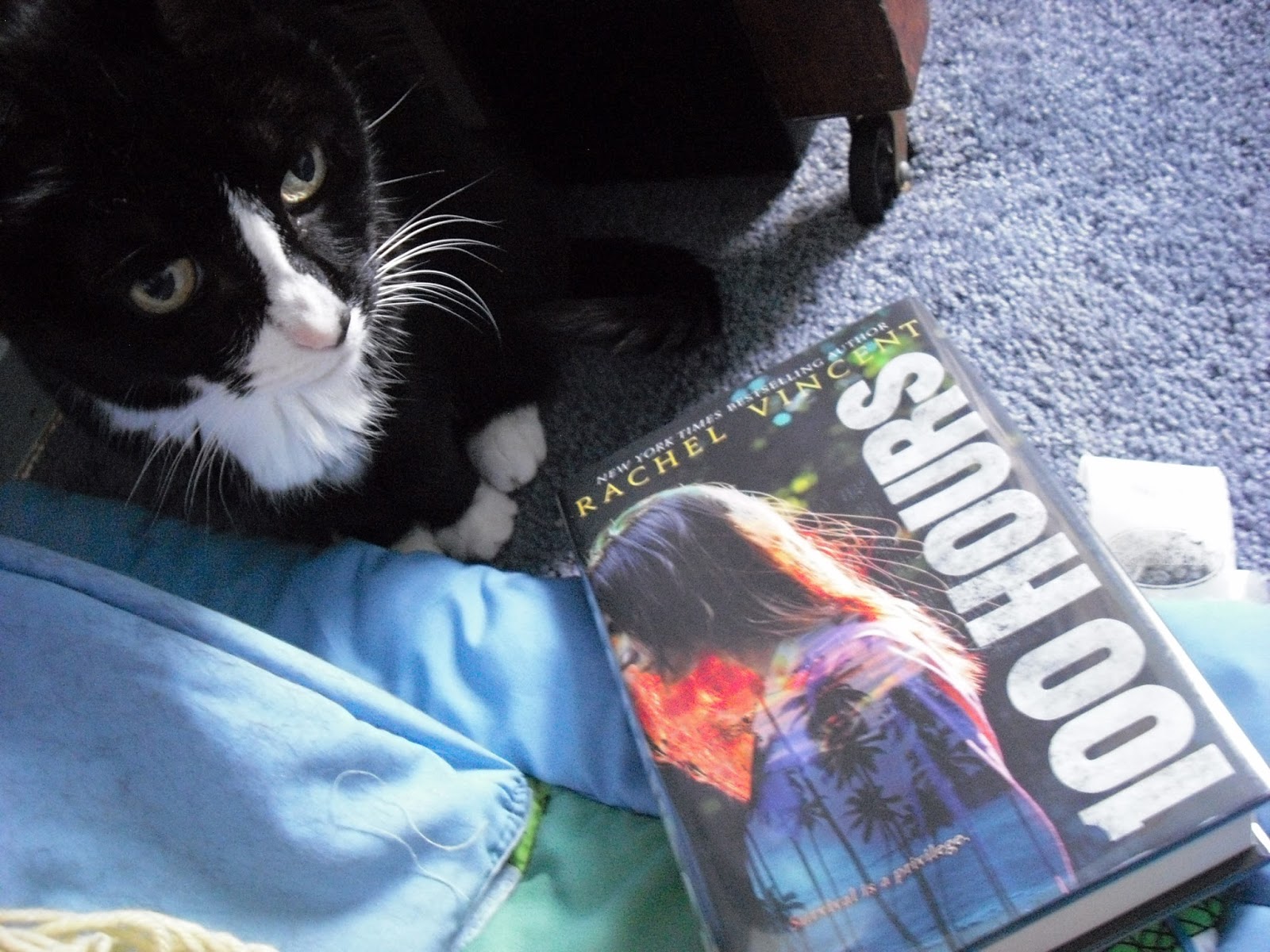 Grab A Book From Our Stack: "100 Hours" by Rachel Vincent