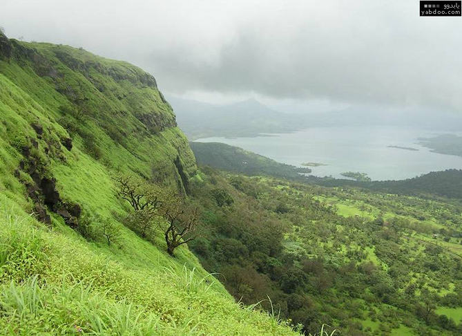 Dhofar Governorate: salalah kareef season