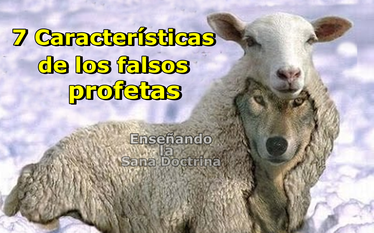 La venida de Cristo esta cerca.: 7 Características de los falsos profetas