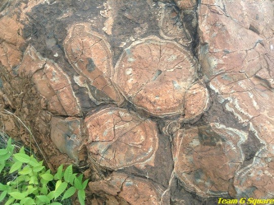 Team G Square: Pillow Lava-World’s Oldest Rocks – Mardihalli, Chitradurga