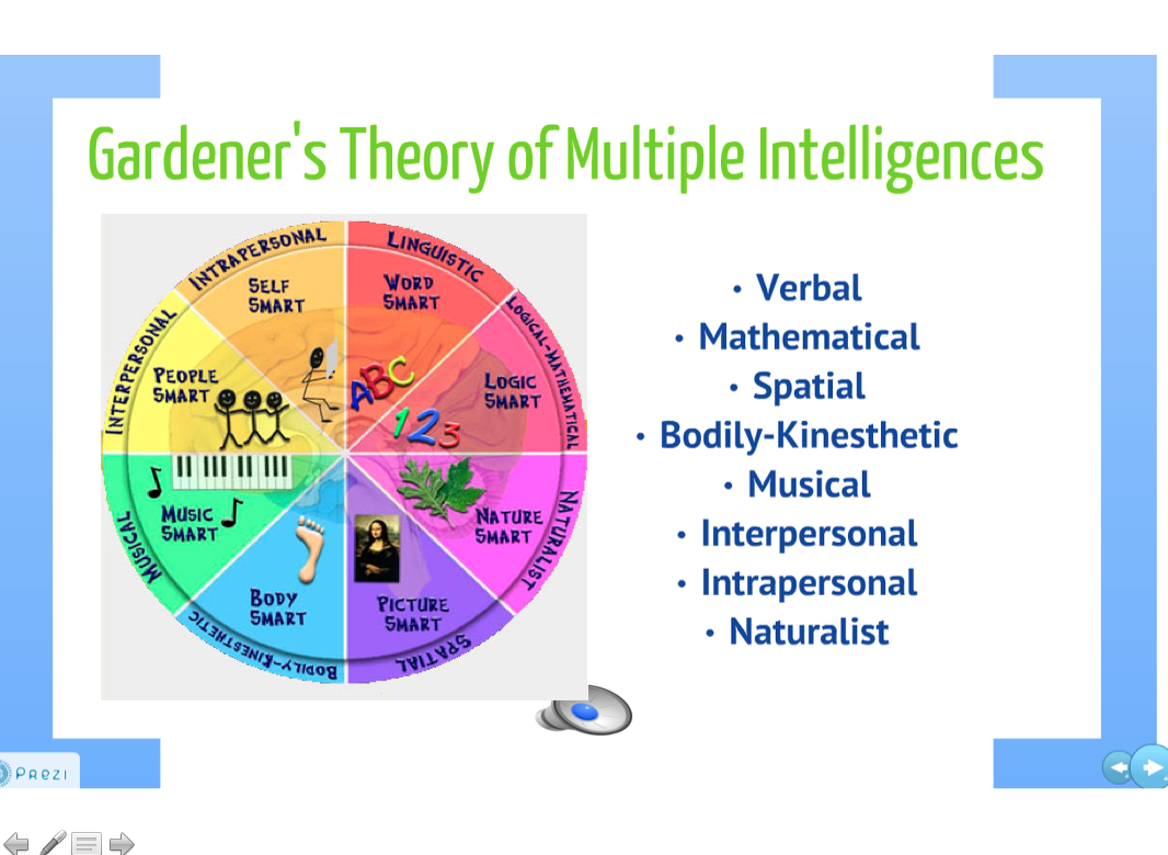 RUMAH BUDAYA: Mengembangkan Multiple Intelligences (Kecerdasan Majemuk)