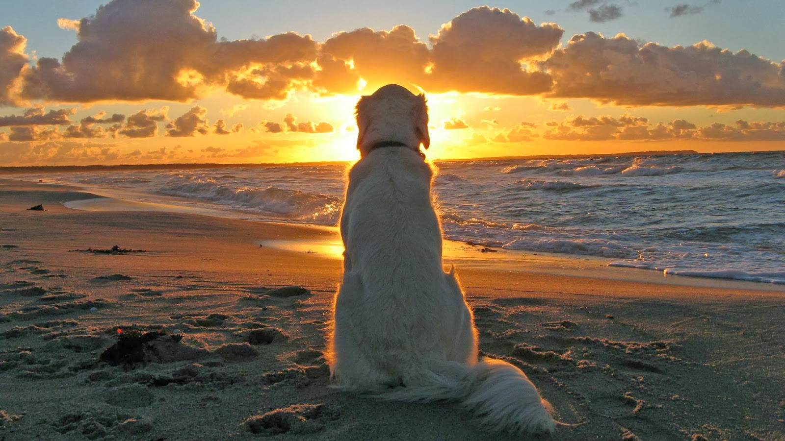 Midnight Mindquake: “Let silence take you to the core of life.”