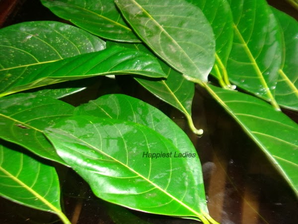 What I did from Jackfruit Leaves? - Happiest Ladies