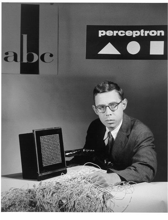 Data jabberwocky: Perceptron Model